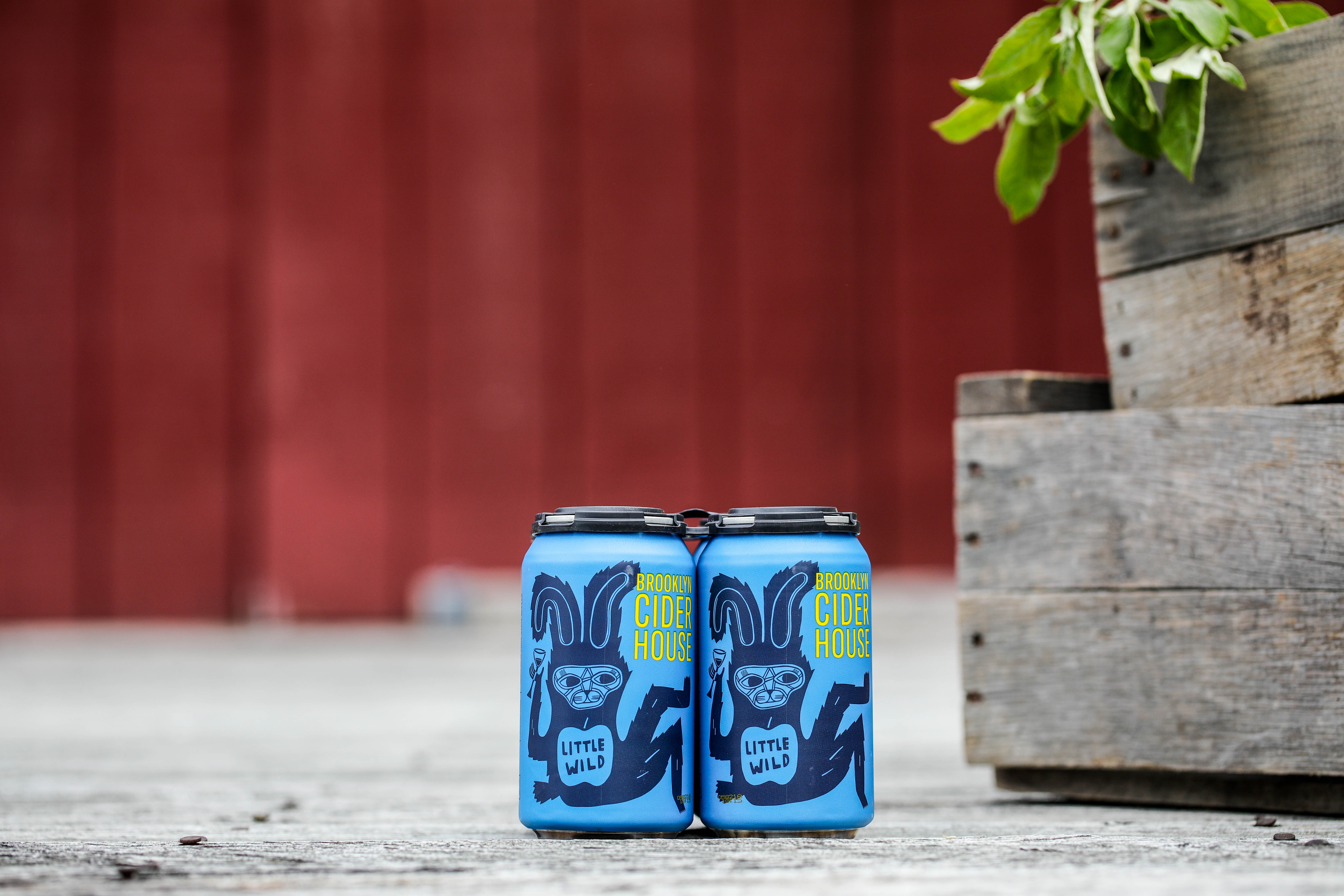 Little Wild Can 12 oz | Home